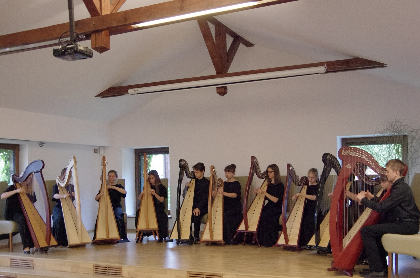 Koncert klasy harfy w Dworze w Tomaszowicach - Szkoła Muzyczna I i II ...